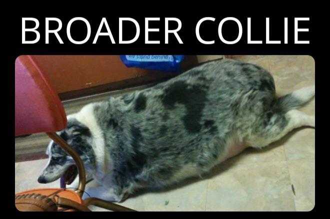 this is an absolute unit - USLUCK