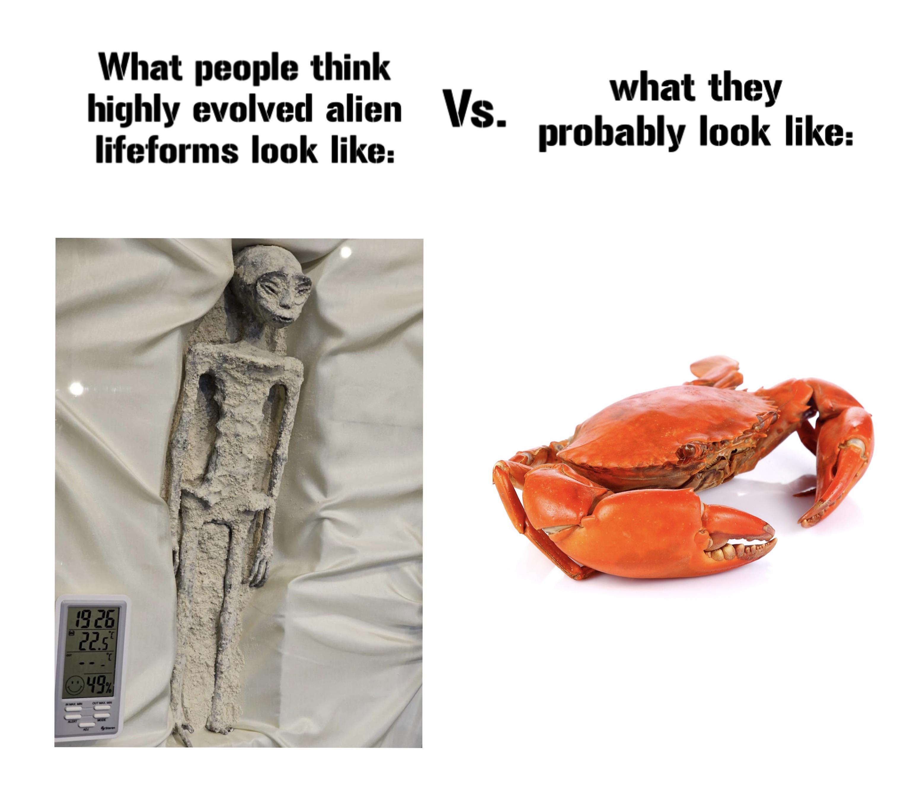 What people think aliens look like vs what they actually look like ...