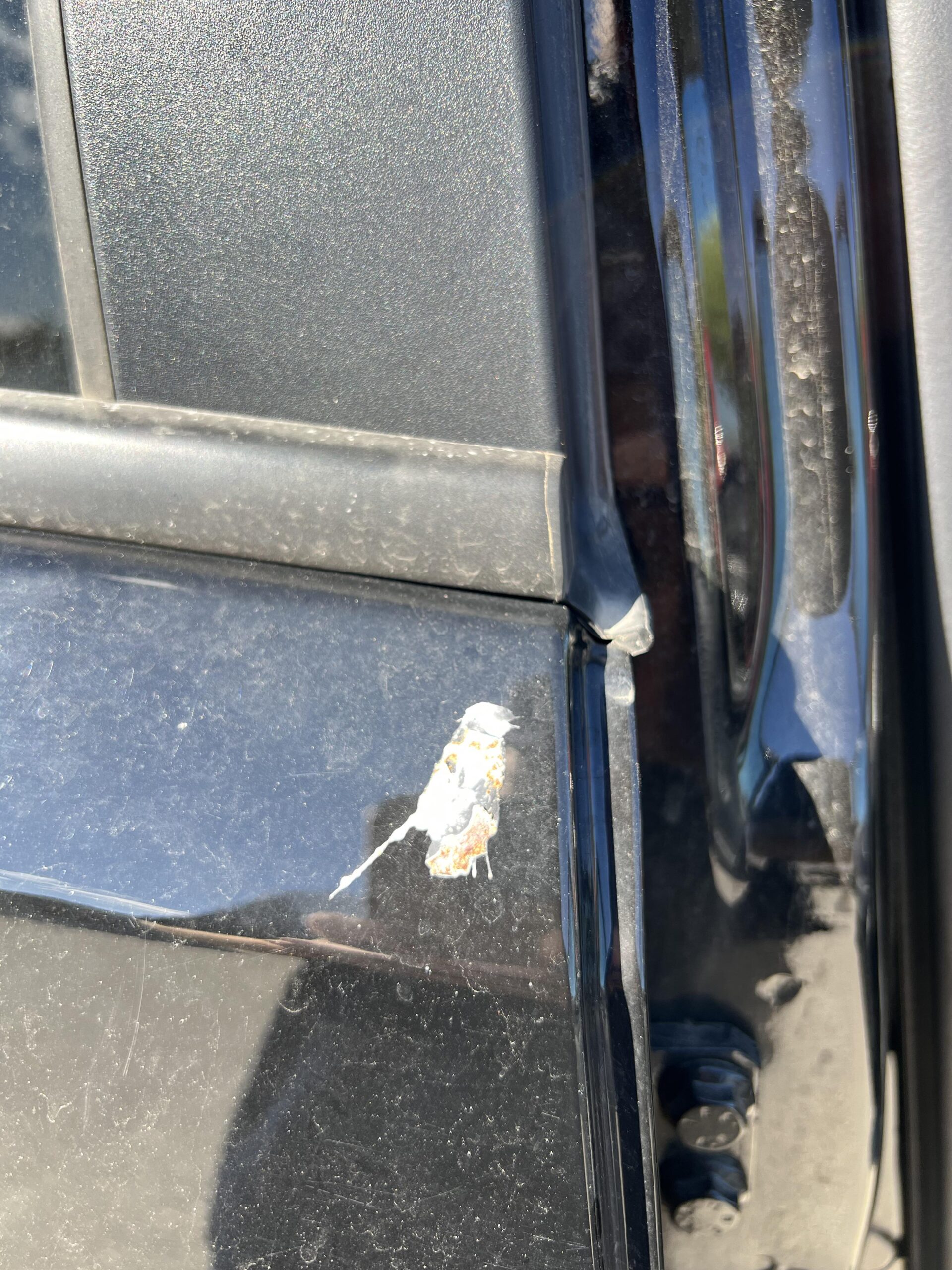 Bird pooped a bird shaped poop on my car - USLUCK