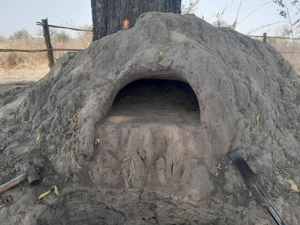 Local workers at Tanzanian site have turned an ant hill into a pizza ...