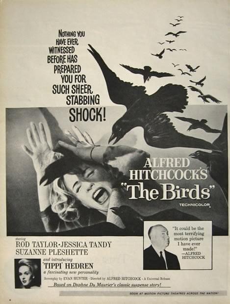 1962 advertisement for Alfred Hitchcock’s The Birds. - USLUCK