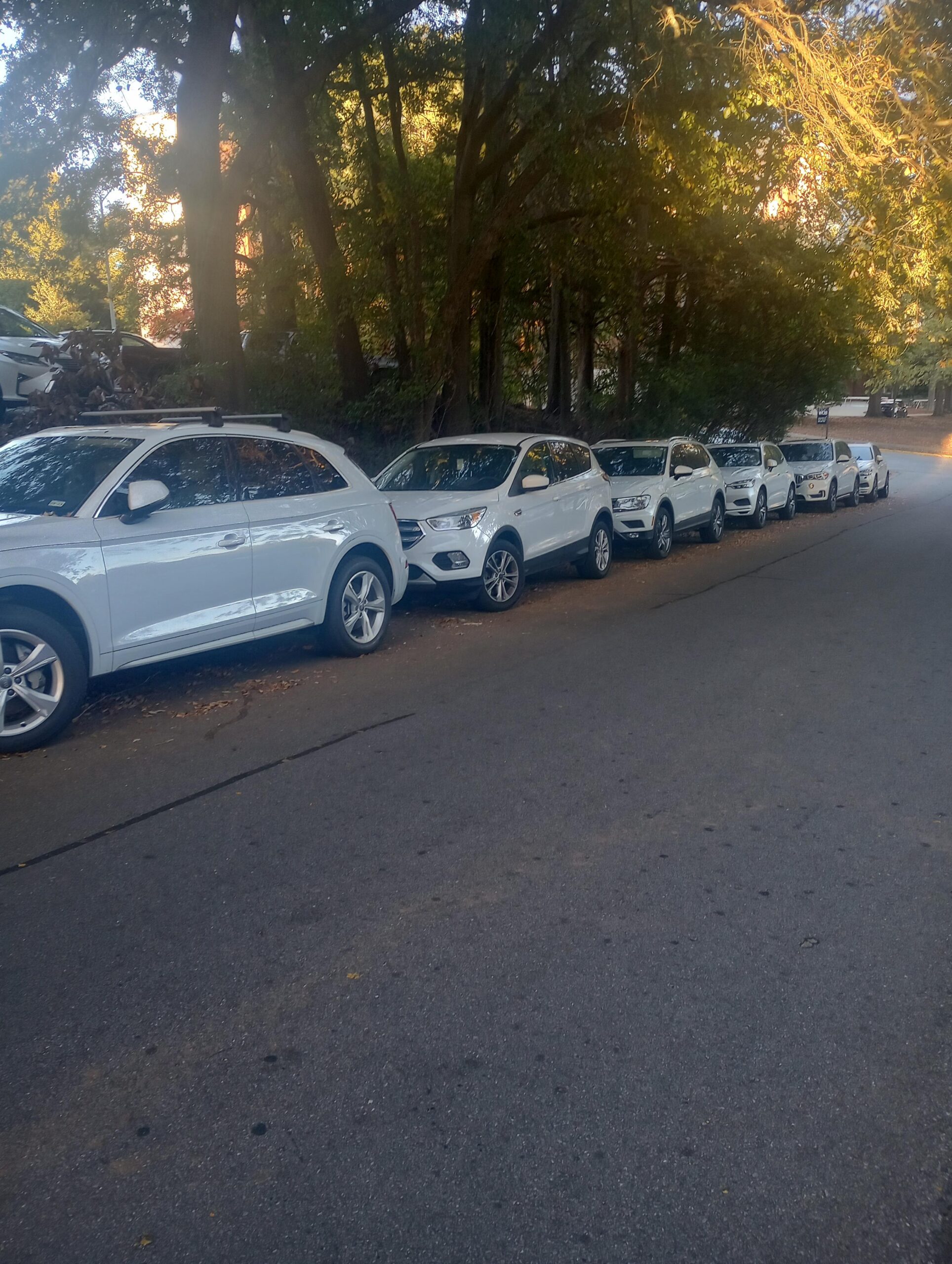 A row of (almost) identical SUVs randomly parked on my street - USLUCK