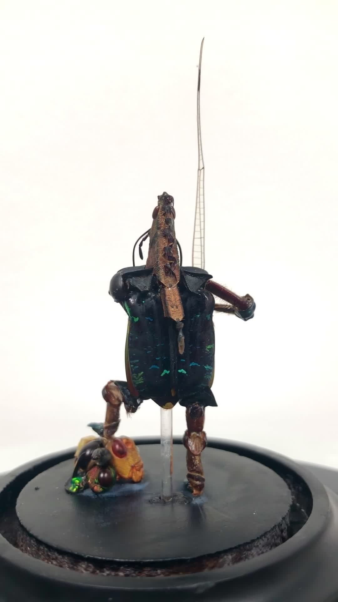 A microsculpture of a samurai, made out of insect parts - USLUCK