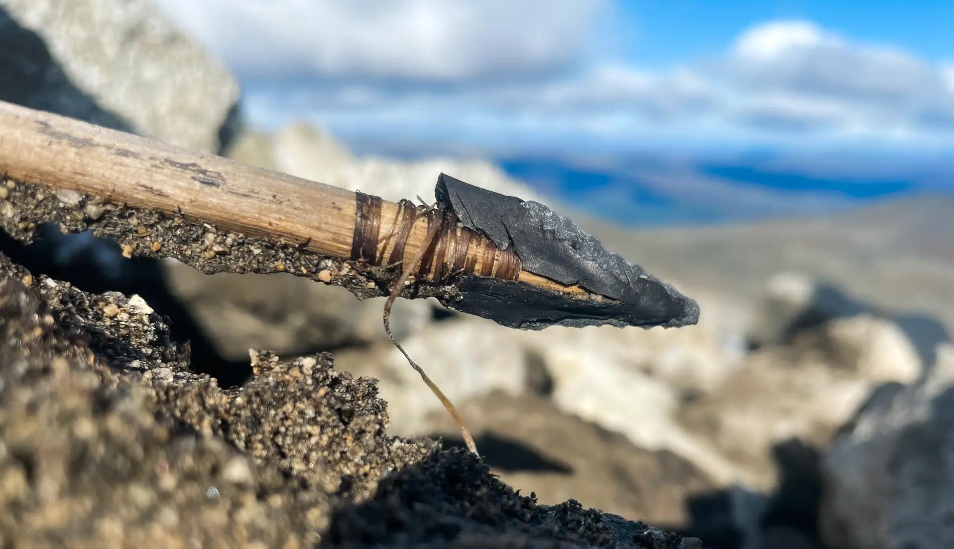 Two 'extremely well preserved' arrows from the bronze age (1600 BC ...
