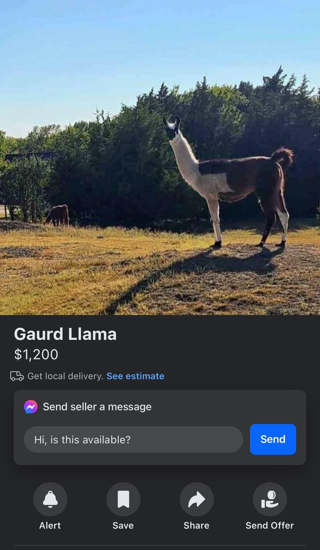 All of a sudden I’m in the market for a Guard Llama - USLUCK