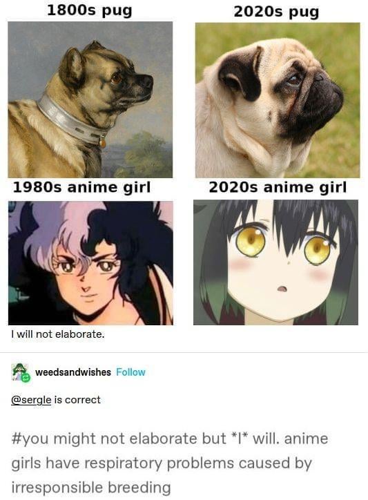 We need ethical breeding standards for anime girls - USLUCK
