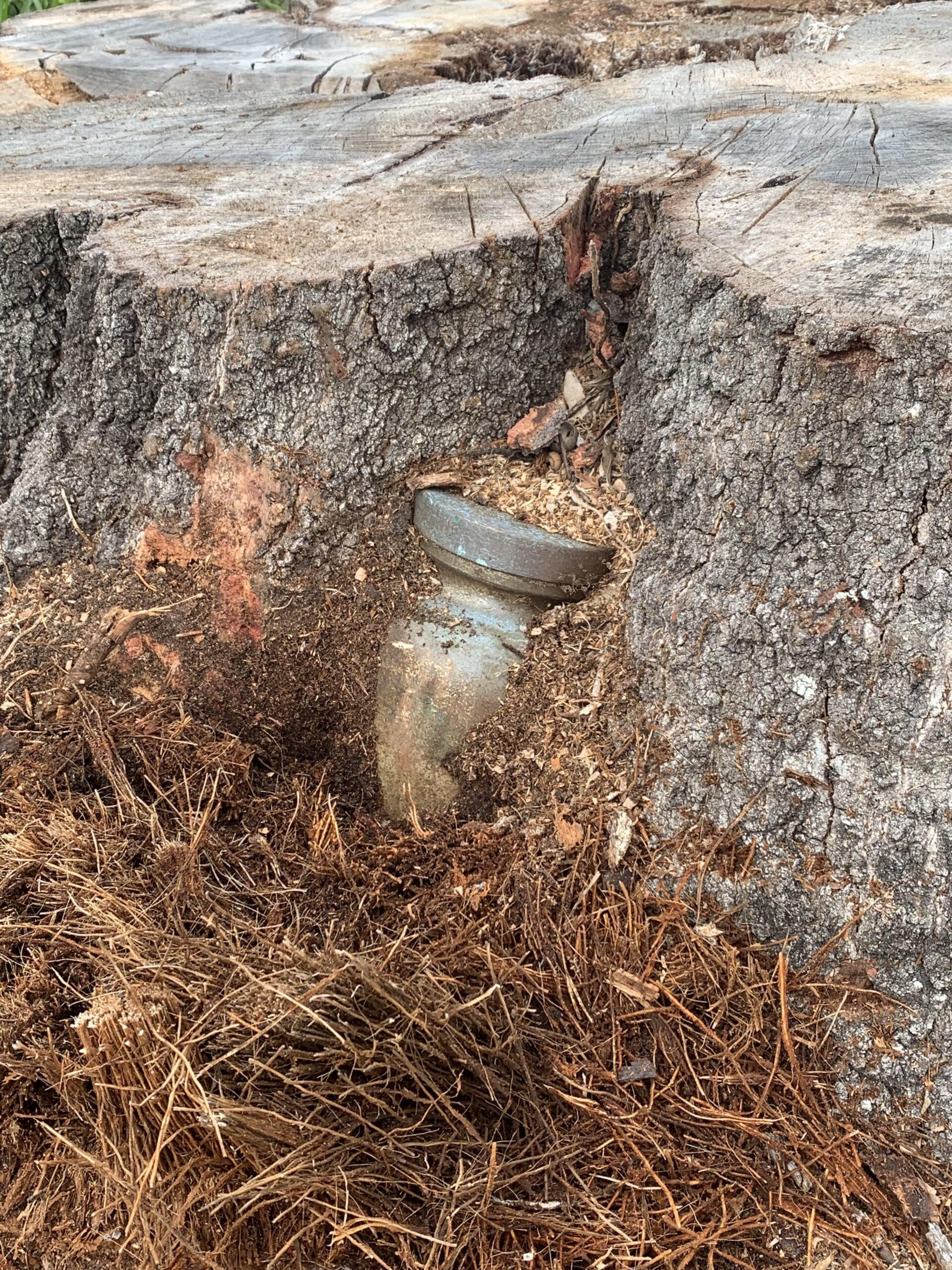 Found what looks like an urn under a tree stump. - USLUCK