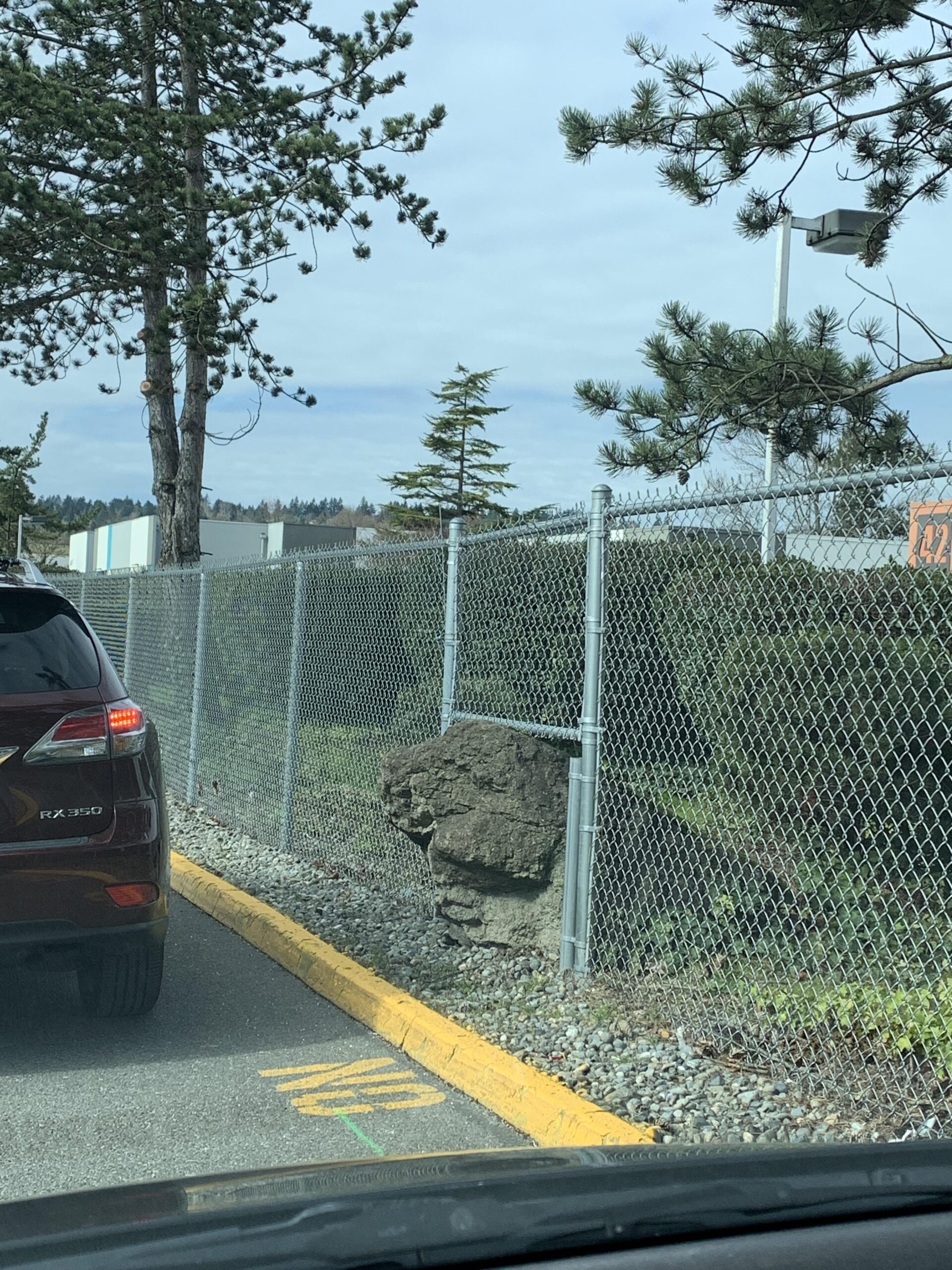 Fence custom built around a giant rock at Costco - USLUCK