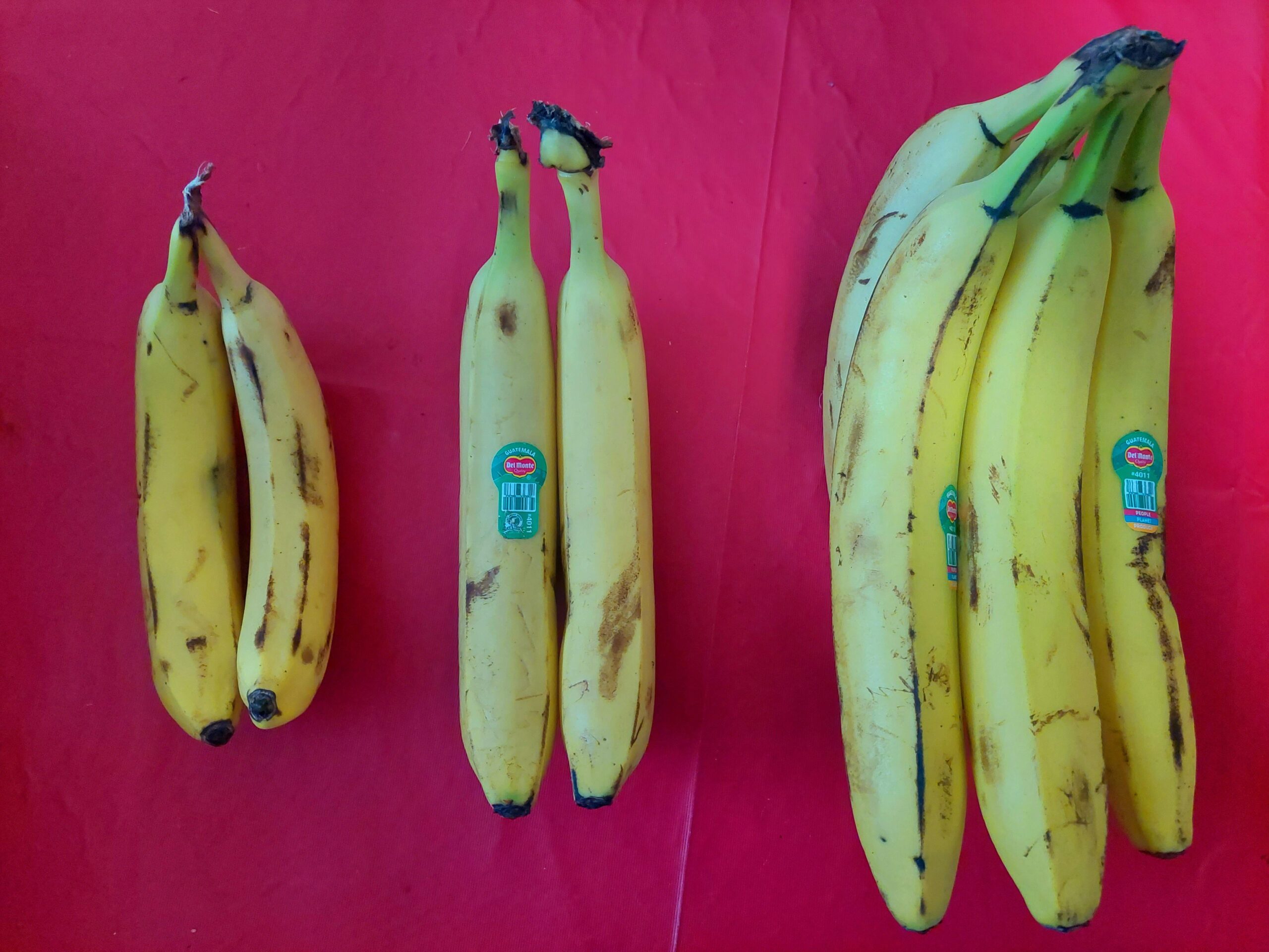 The size difference between these, these, and THESE bananas - USLUCK