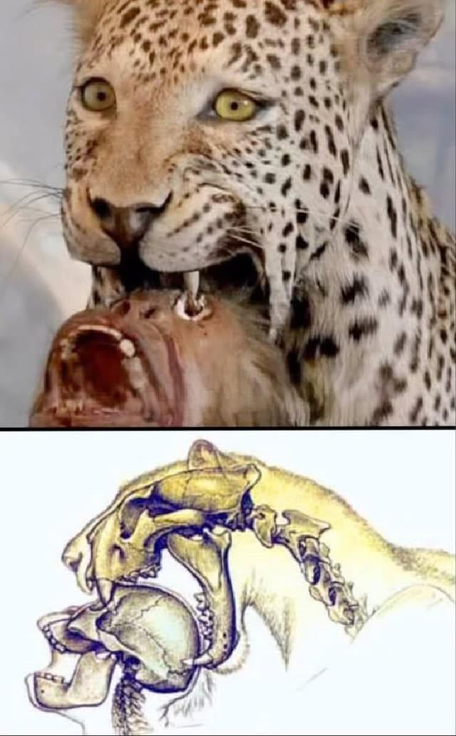 The most severe and painful death recorded in the life of early humans ...