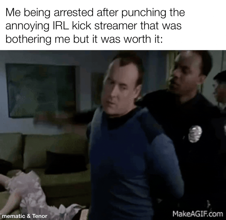 So worth it. A lot of them have very punchable faces like that N3on kid ...